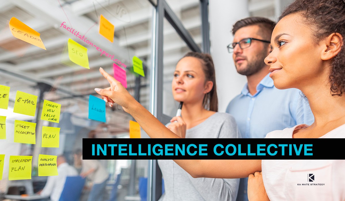 Réussir son approche de l’intelligence collective | Expert en Facilitation